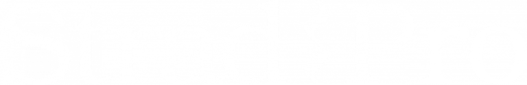 Strad Pro: A Virtual Family Office Operating System for RIAs